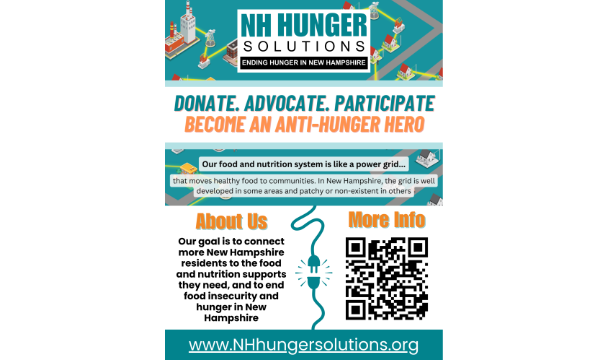 New Hampshire Hunger Solutions, Inc. needs help with a website audit ...