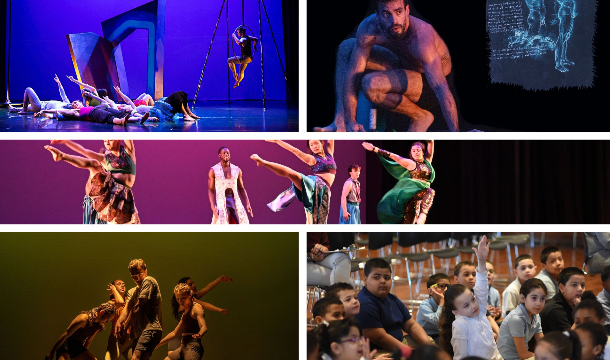 Sonia Plumb Dance Company needs help with a flexible web development ...