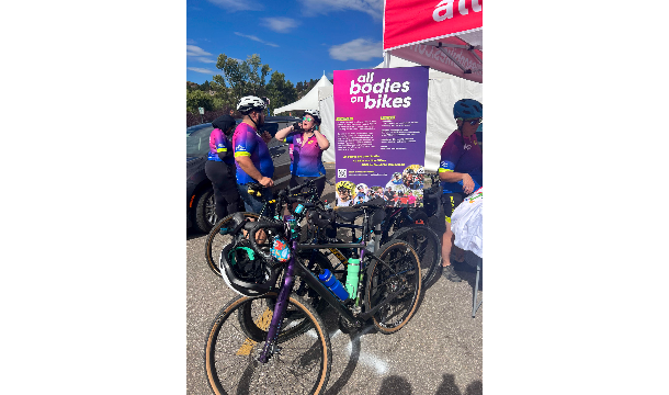 All Bodies on Bikes needs help with a customer database (crm) set up ...
